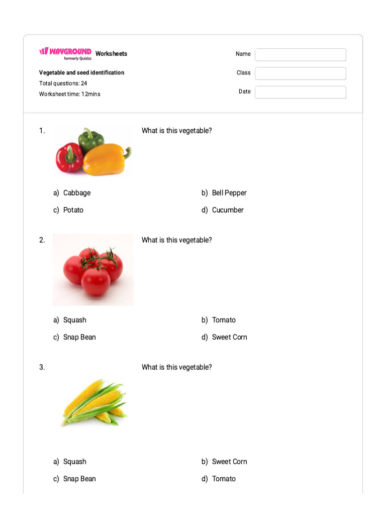 Vegetable Identification Worksheet | PDF | Vegetables | Tomato