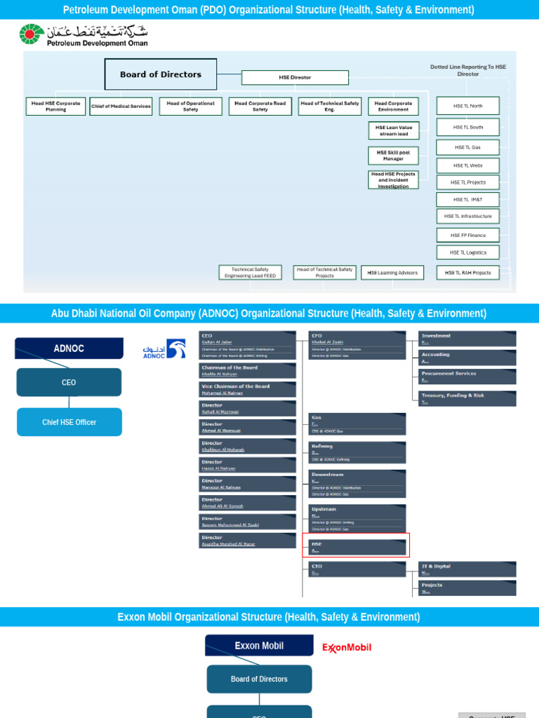 HSE Organizational Structures in Oil & Gas | PDF | Companies | Hydrocarbons