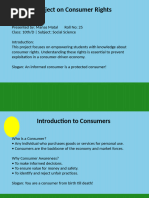 Consumer Rights Project Class 10 With Flowcharts | PDF