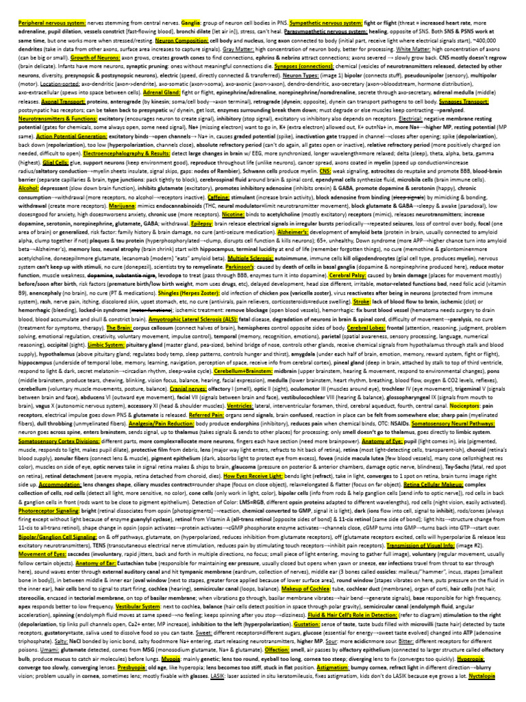 Anatomy Cheatsheet | PDF | Retina | Ear