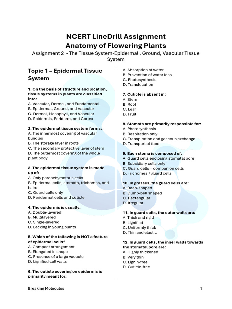 NCERT LineDrill Assignment 2 - Anatomy of Flowering Plants | PDF | Plant Stem | Tissue (Biology)