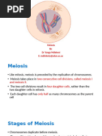 Random Fertilisation and Genetic Variation | PDF | Meiosis | Biological ...