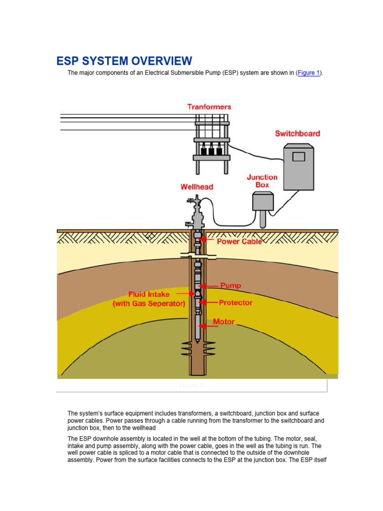 ESP System Components and Overview | PDF | Pump | Horsepower