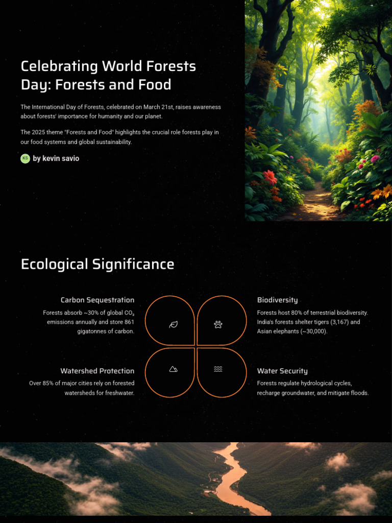 Celebrating World Forests Day Forests and Food | PDF | Forests | Water ...