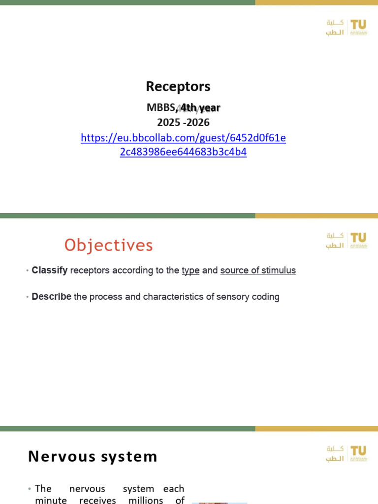 Understanding Sensory Receptors | PDF | Stimulus (Physiology ...