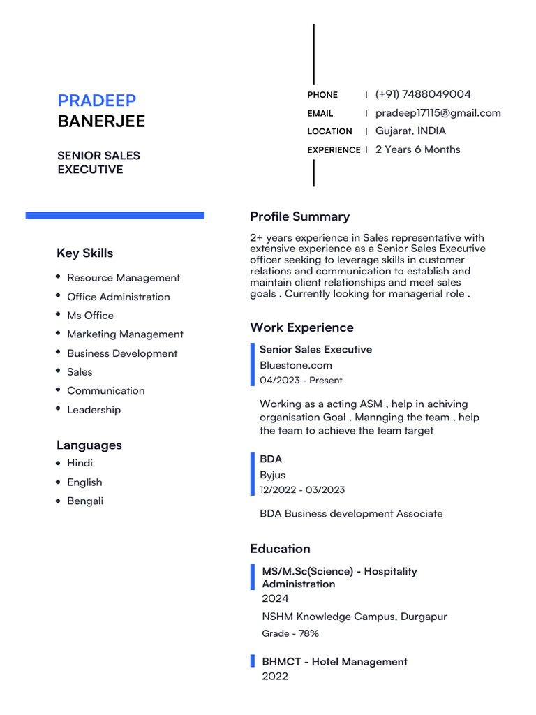 Senior Sales Executive Profile Summary | PDF