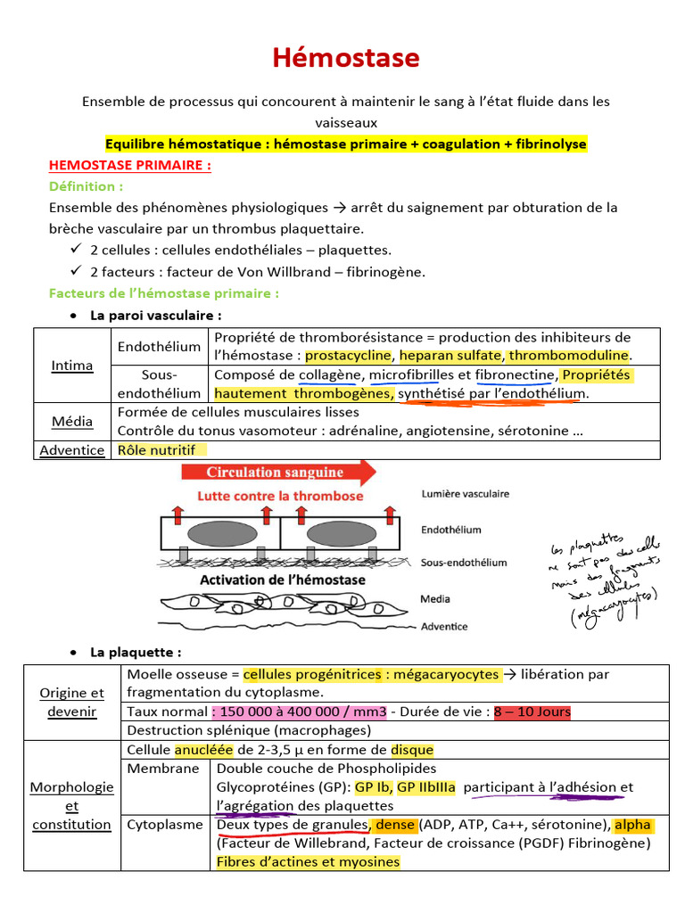 Comprendre l'Hémostase et la Coagulation | PDF | Coagulation | Thrombocyte