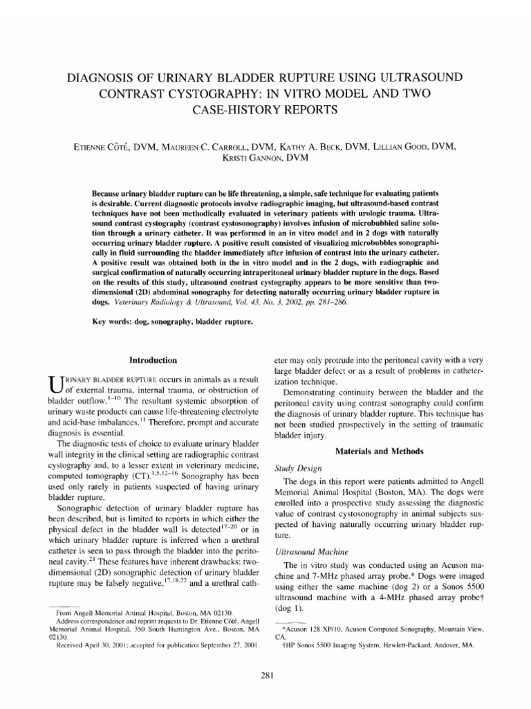 Diagnosis of Urinary Bladder Rupture Using Ultrasound | PDF | Medical ...
