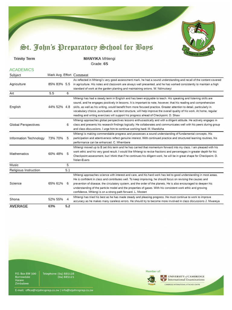 Manyika Mhlengi 250813 102538 | PDF | Human Communication | Behavior Modification