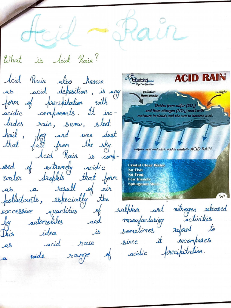 Affects of Acid Rain Notes | PDF
