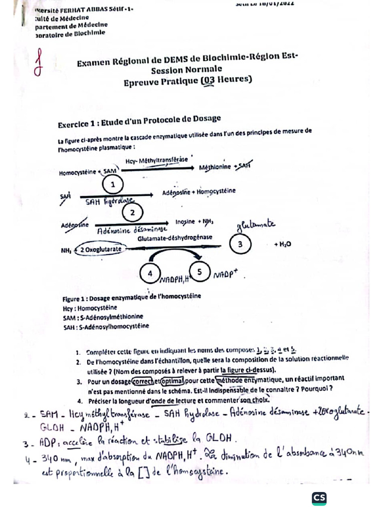 Djabi | PDF