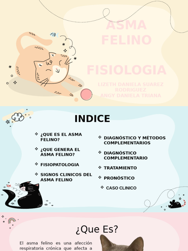 Asma Felino Expo | PDF | Asma | Tos