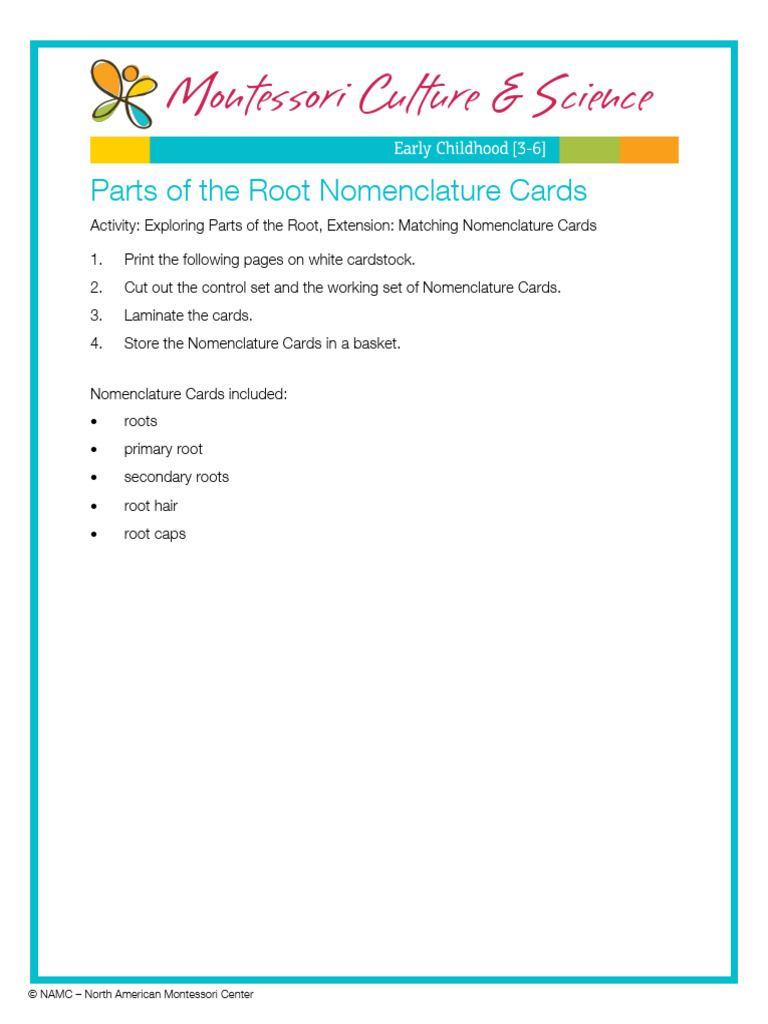 B. Parts of The Root Nomenclature Cards | PDF