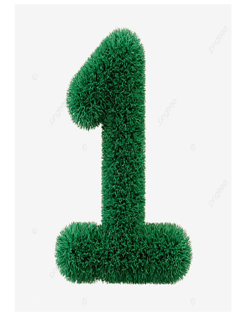 Numero 1 Verde | PDF
