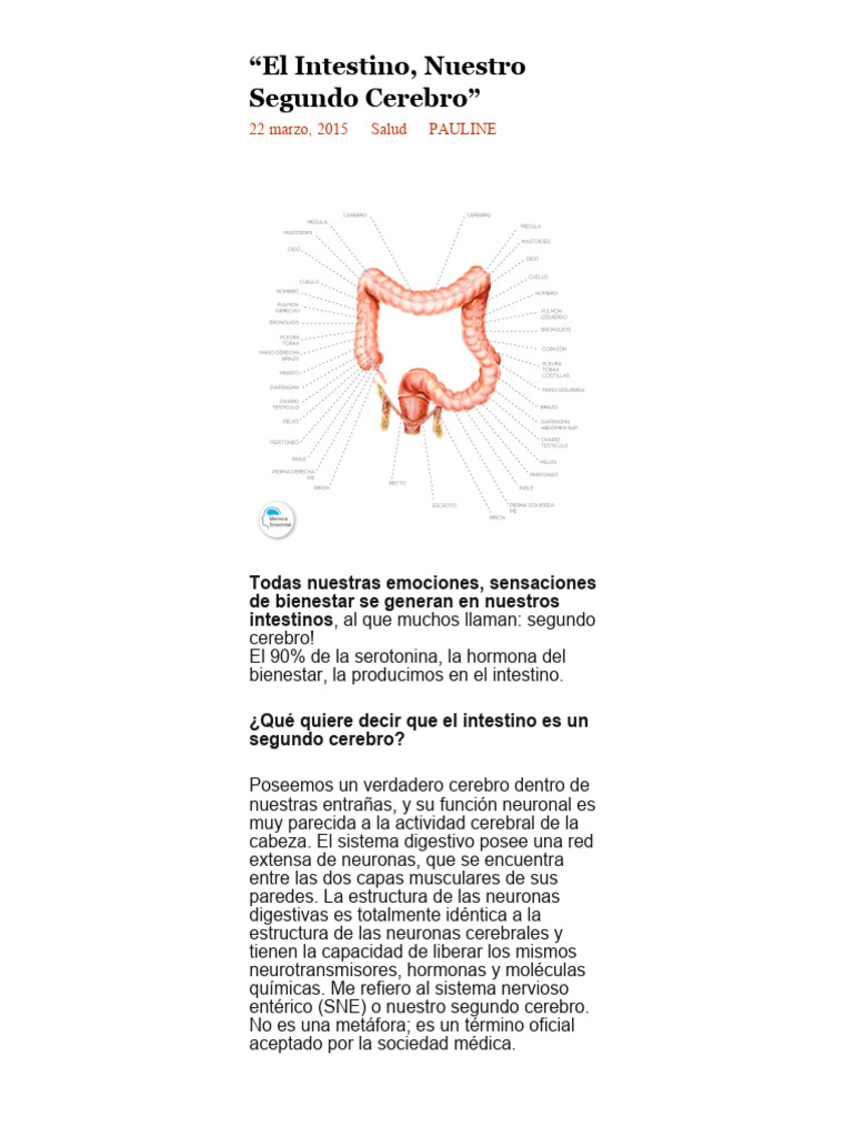 Intestino: Clave para el Bienestar | PDF | Cerebro | Digestión
