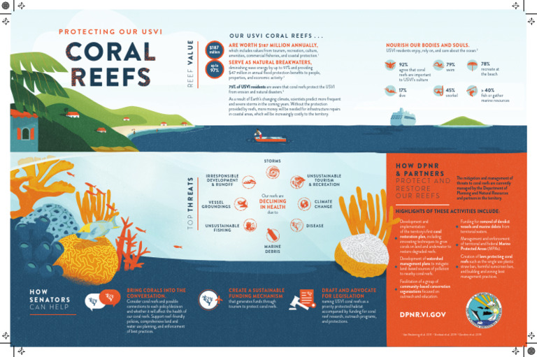 DPNR Coral Reefs Infographic Poster Print v2 | PDF | Coral Reef | Coral
