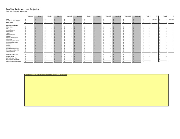 AATwo-year Projection Template With Month by Month 1st Year Breakdown | PDF