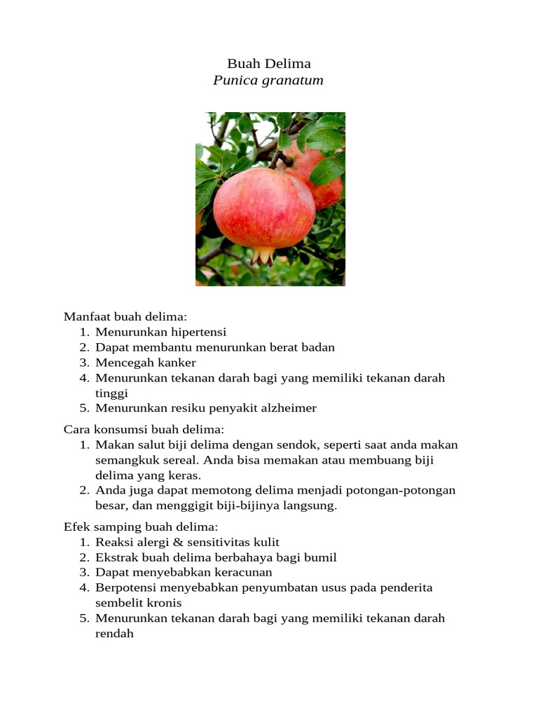 Buah Delima | PDF