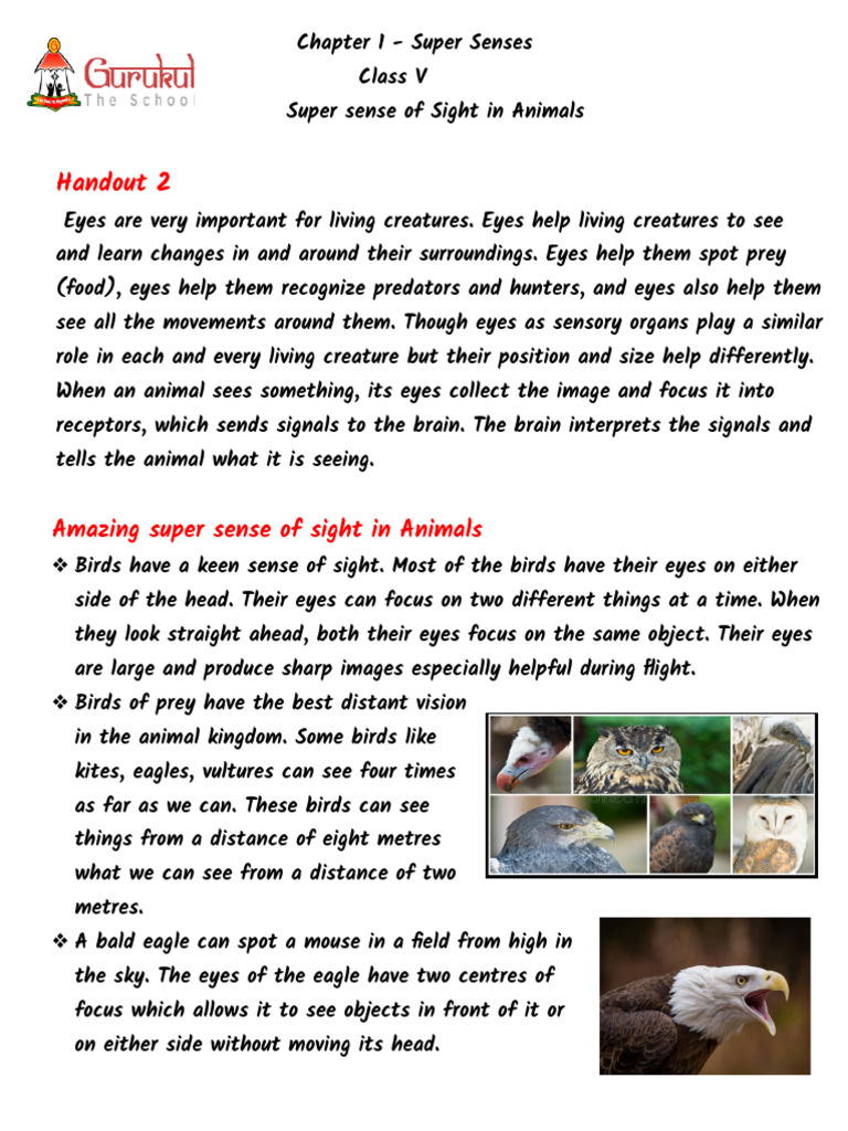 Super Senses: Animal Vision Explained | PDF | Eye | Senses