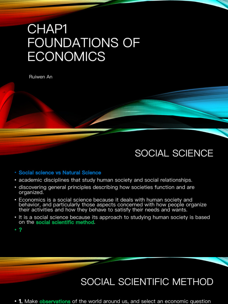 Foundations of Economics Overview | PDF | Economics | Economic System