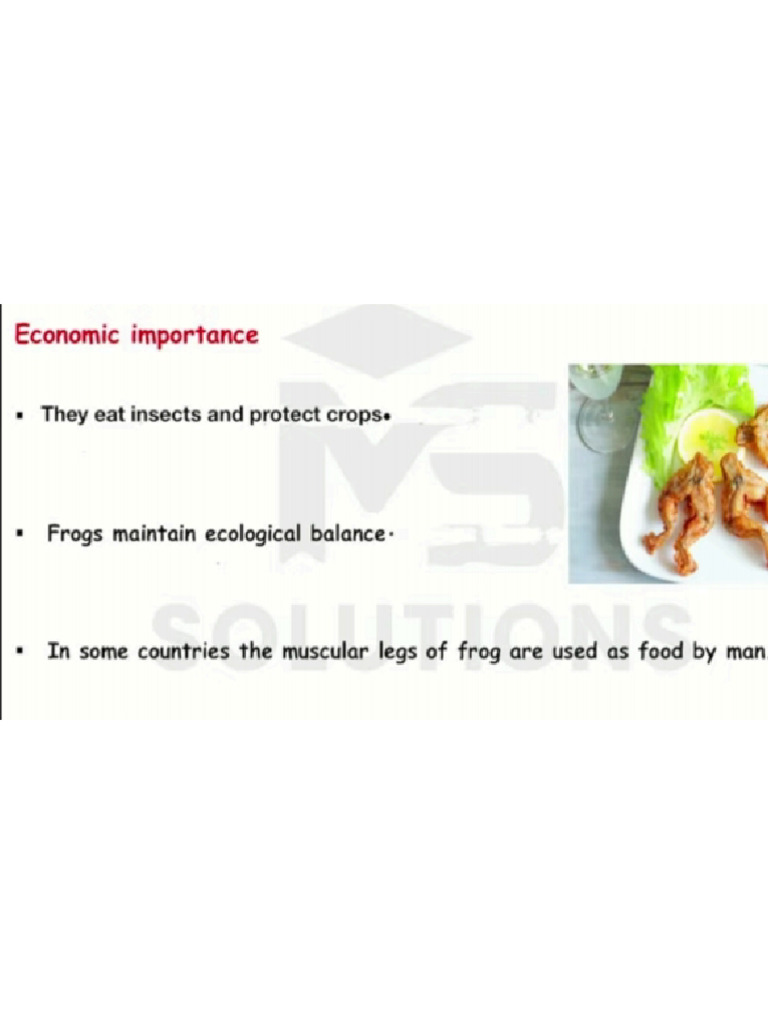 Importants of Frog | PDF