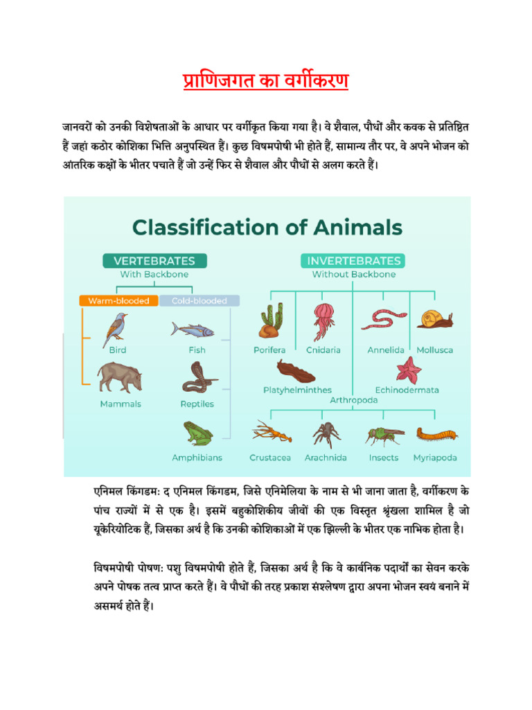 Class 1 | PDF