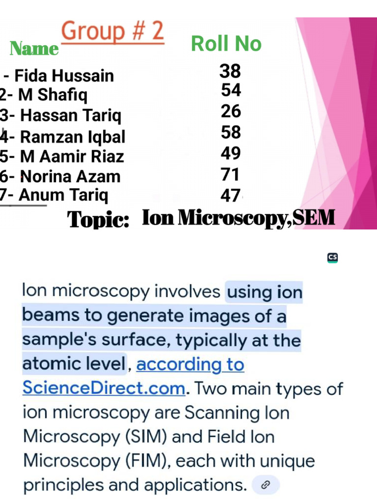 Ion, Scanning Electron Micros | PDF