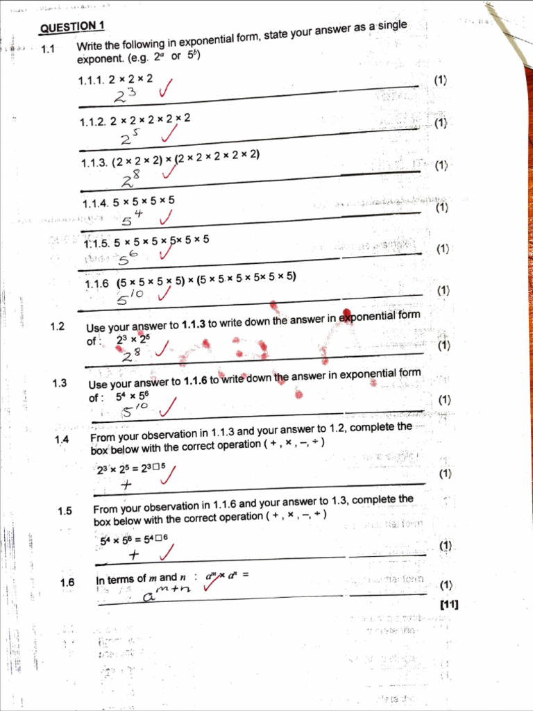 Term 2 Investigation Memo | PDF