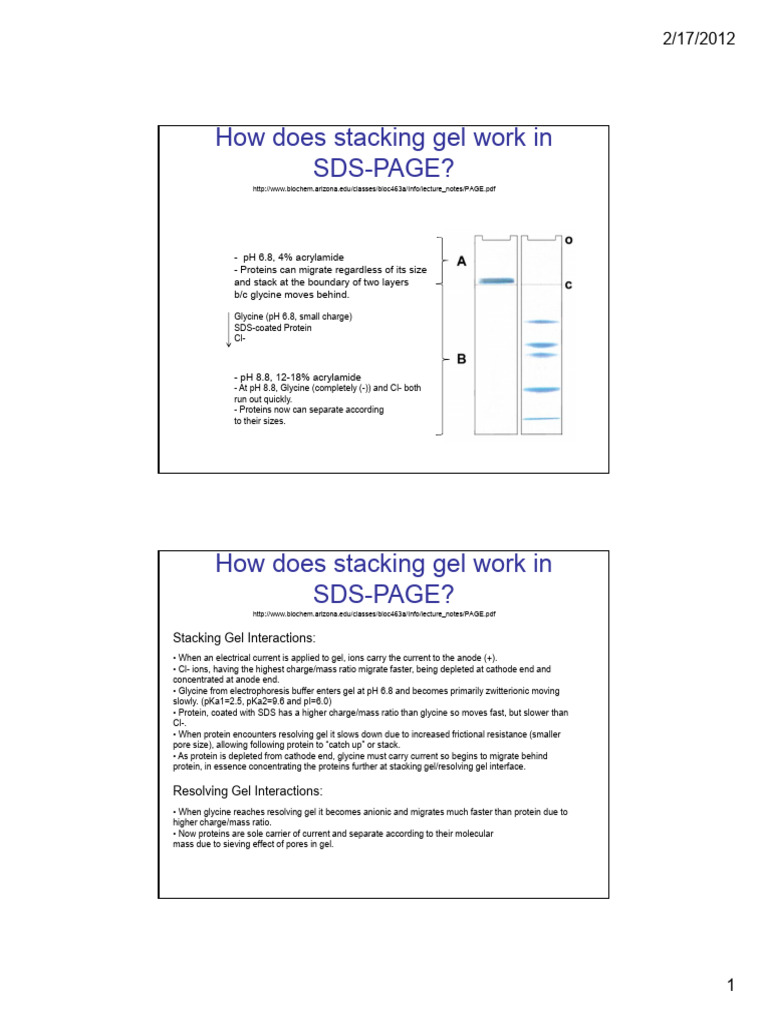 Stacking vs Resolving Gel in SDS-PAGE | PDF