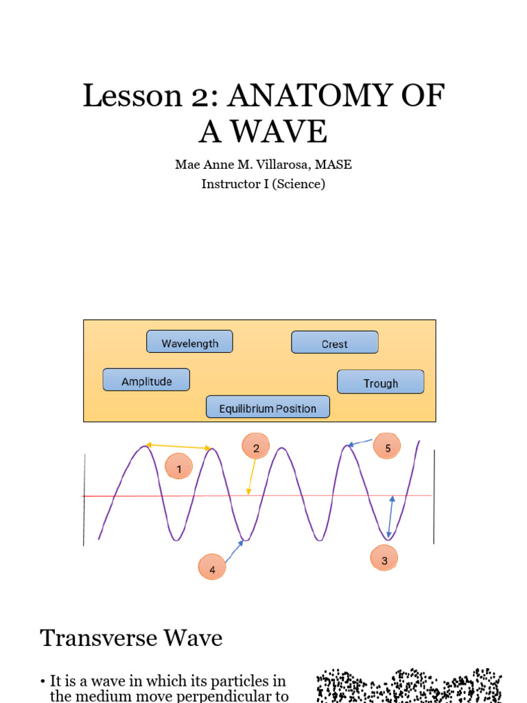 Anatomy of Waves Explained | PDF | Waves | Frequency