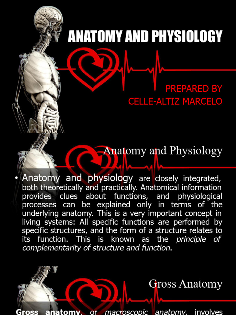 Anatomy and Physiology Overview | PDF | Anatomical Terms Of Motion ...