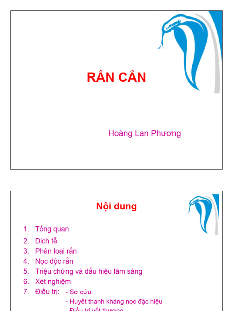 Bai 2 Ran Can | PDF