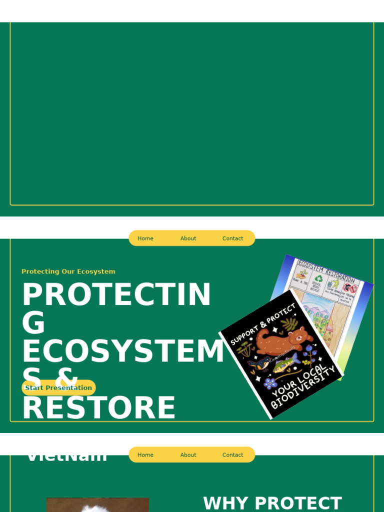 16.design A Poster About The Local Ecosystem and How To Restore Protect ...