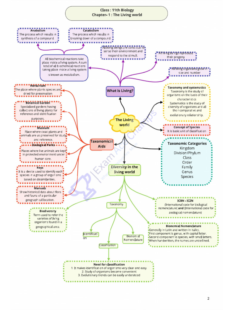 Biology Chapter 1 Mind Map | PDF