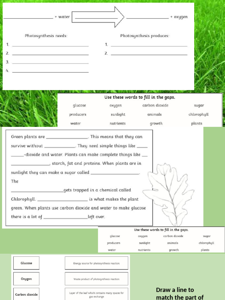 L1 Phs Student Work | PDF