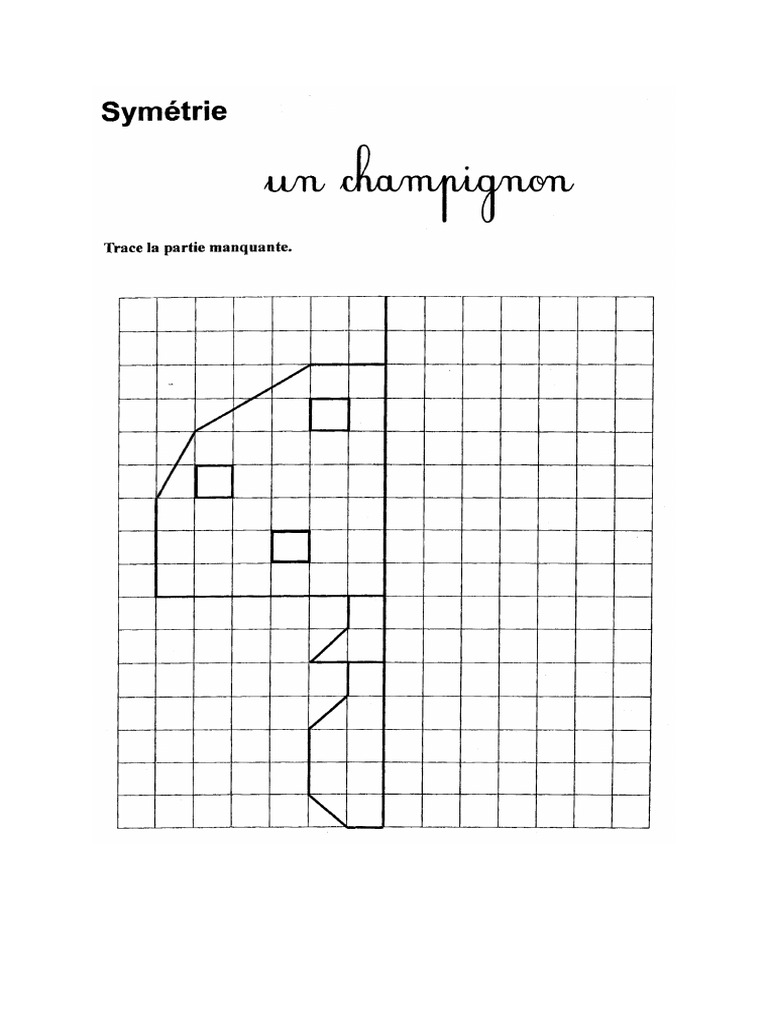 Finir Un Dessin Par Symétrie | PDF