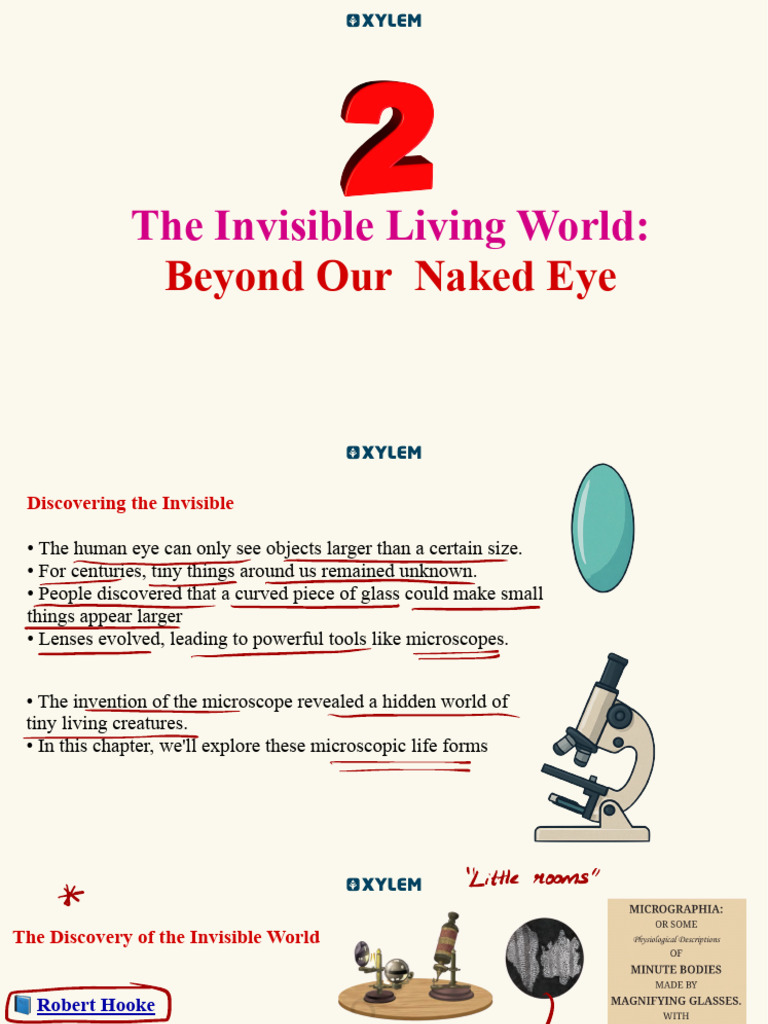 Exploring the Invisible Living World | PDF | Cell (Biology) | Microorganism