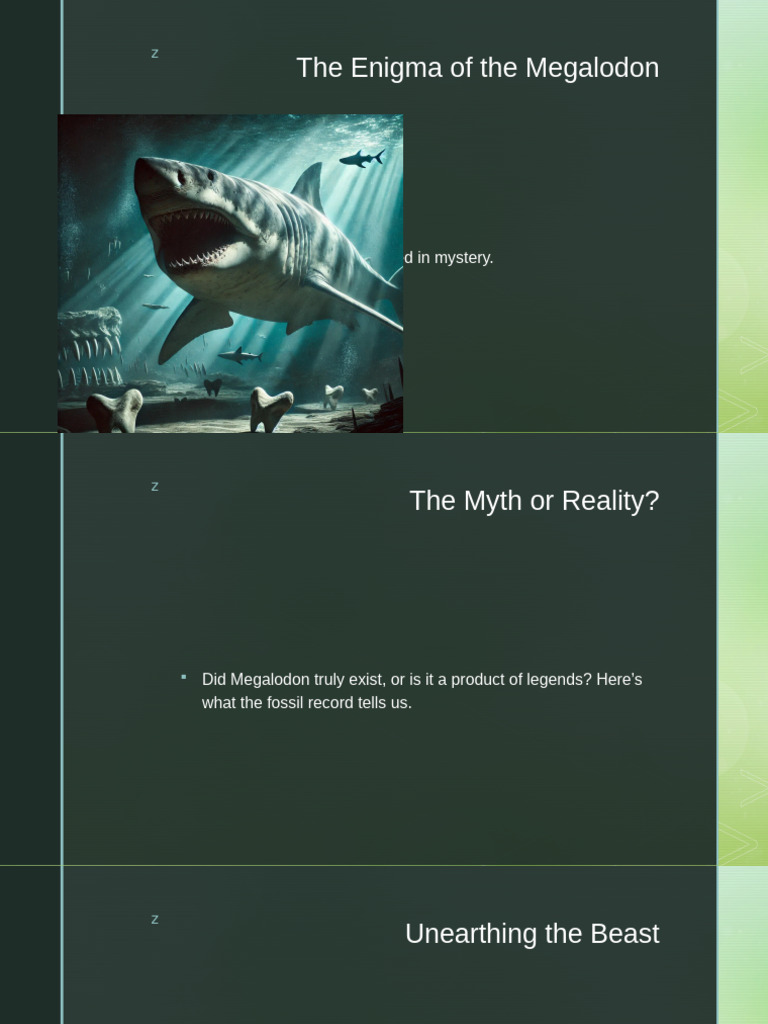 Megalodon Mystery Enhanced Presentation | PDF