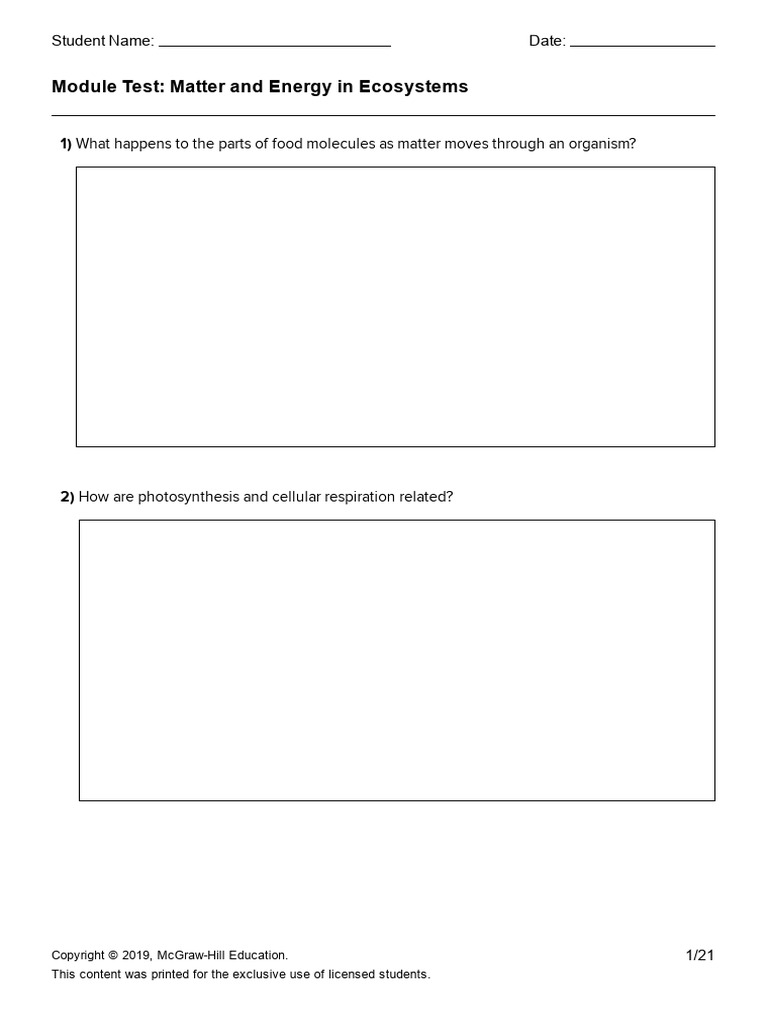 Module Test: Matter and Energy in Ecosystems | PDF | Ecosystem | Food Web