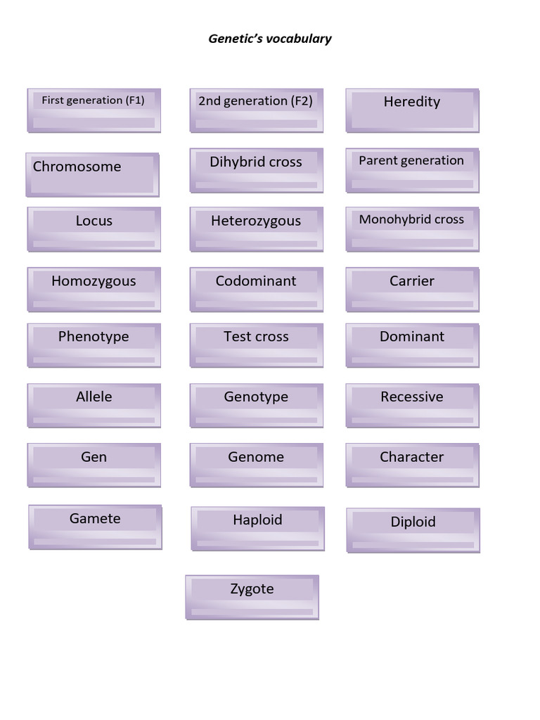 Essential Genetic Vocabulary Terms | PDF | Dominance (Genetics) | Genotype