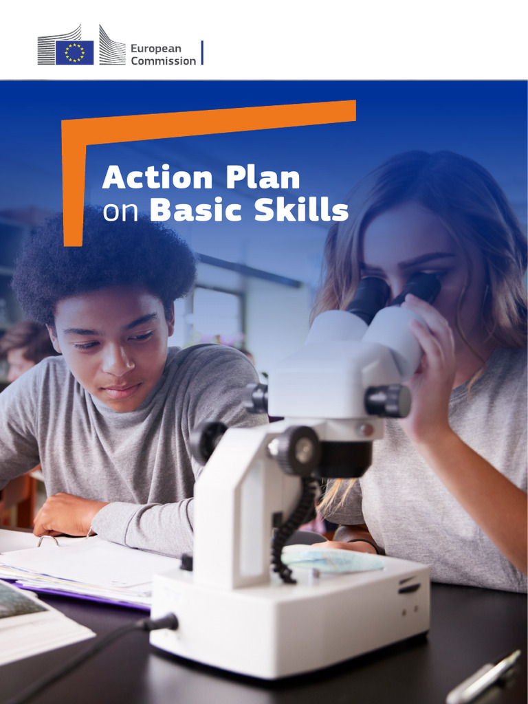 Graphic Version Action Plan On Basic Skills - 250905 - 235324 | PDF ...