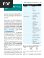 UTD Classification for Radiologists | PDF | Radiology | Urology