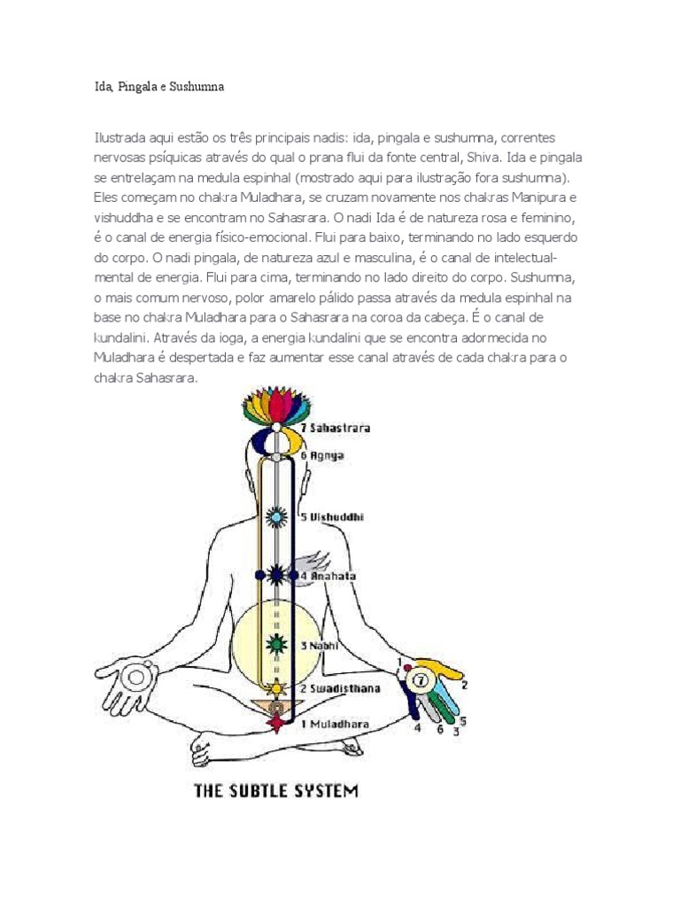 Ida e Pingala | PDF | Chacra | Energia e recurso