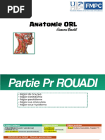 La Region de La Nuque | PDF | Vertèbre | Colonne vertébrale