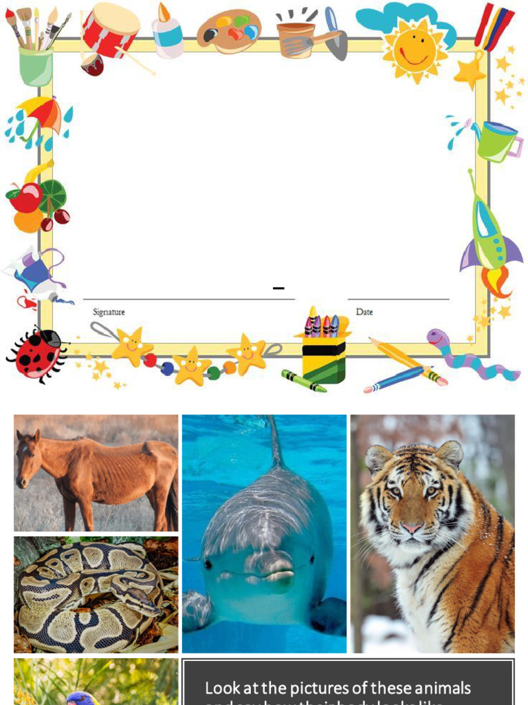 Types of Animals for Grade 1 | PDF