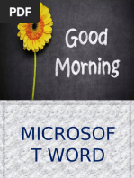 Microsoft Word Interface Overview | PDF | Microsoft Word | Text