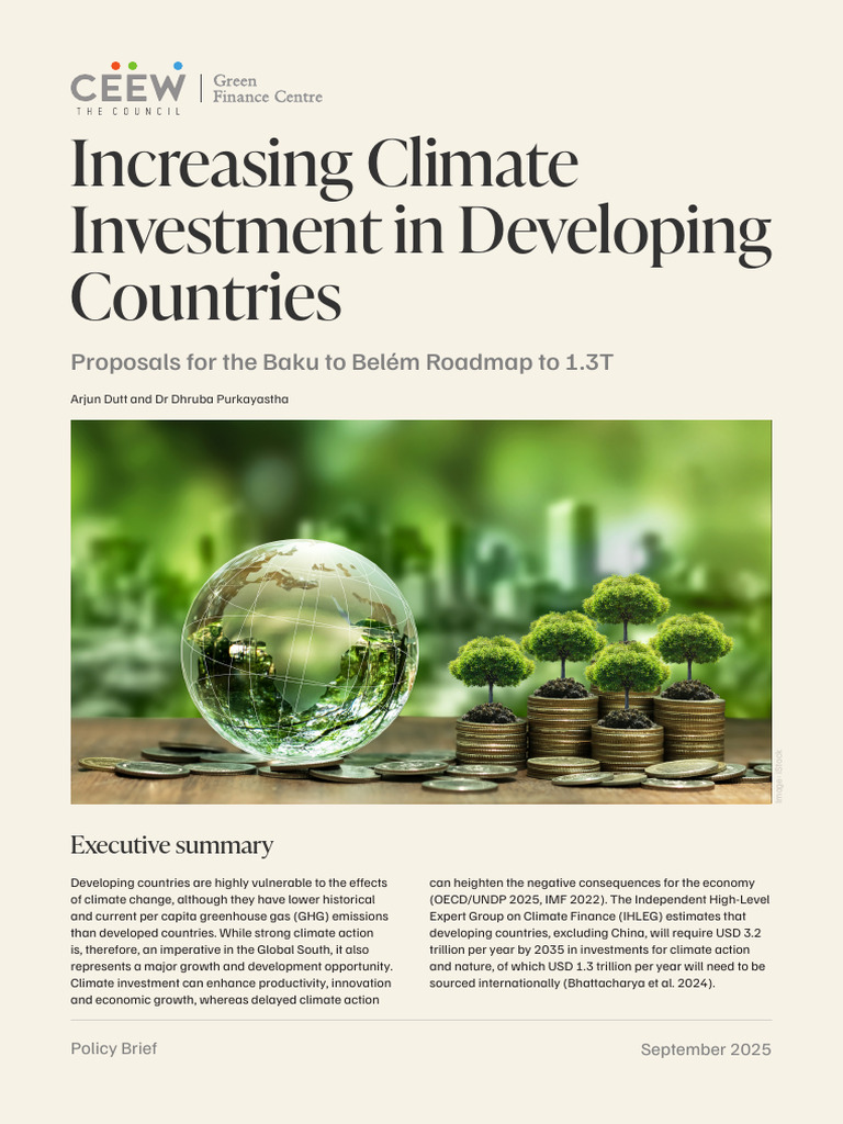 Increasing Climate Investment in Developing Countries | PDF | Cost Of ...