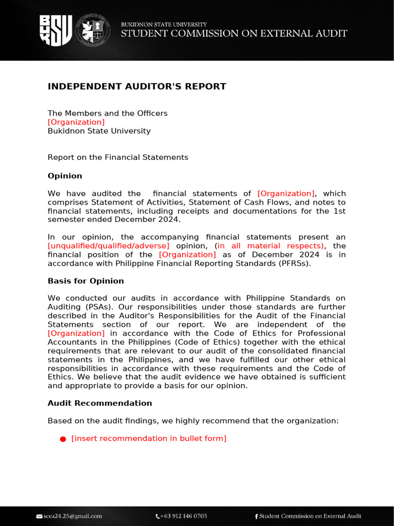 (SCEA2425) Audit Opinion - Name of Organization | PDF | Audit ...
