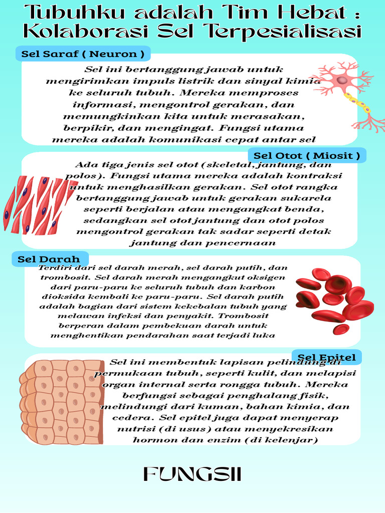 Peran dan Fungsi Sel dalam Tubuh | PDF