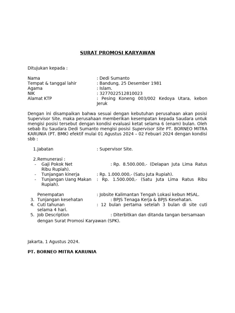 Contoh Surat Promosi | PDF